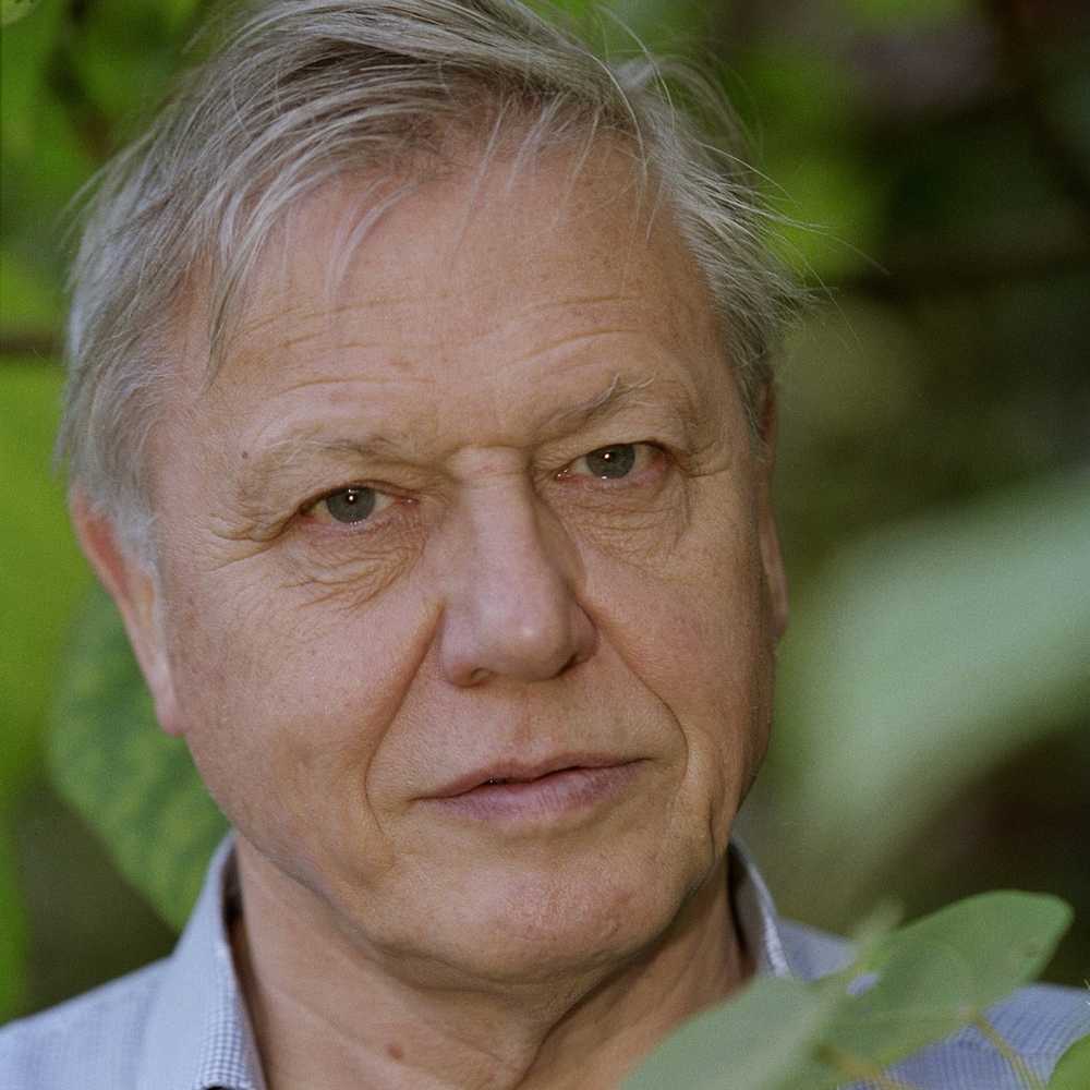 SwashVillage | David Attenborough Biografía SwashVillage | David Attenborough Biografía