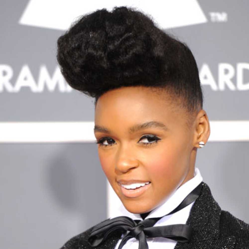 SwashVillage | Janelle Monáe Biographie