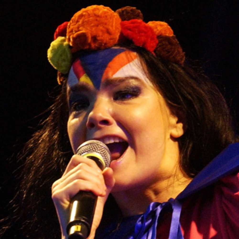 SwashVillage | Björk Biografie